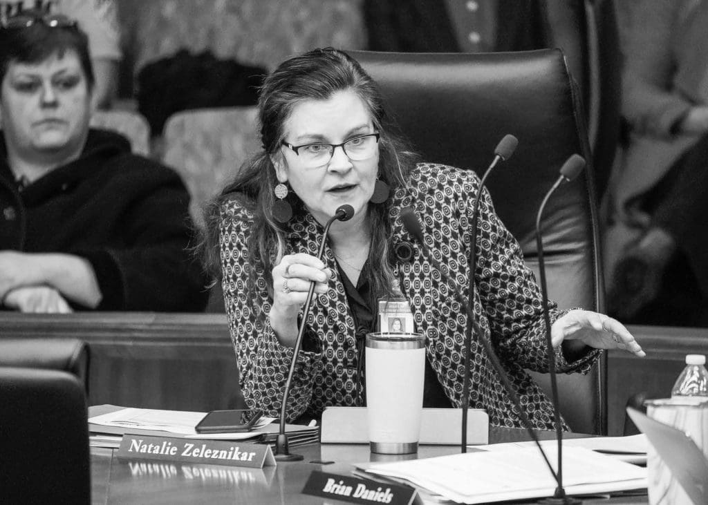 Representative Natalie Zeleznikar to Seek Re-Election in 2024 | North ...