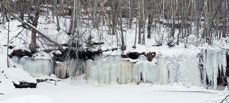 Jan. 19 marks first Free Park Day of 2026 at Minnesota state parks ...
