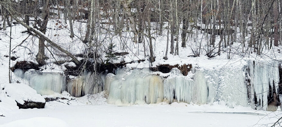 Jan. 19 marks first Free Park Day of 2026 at Minnesota state parks ...